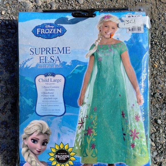 Costumes | Elsa Frozen Disney Supreme Halloween Costume | Poshmark